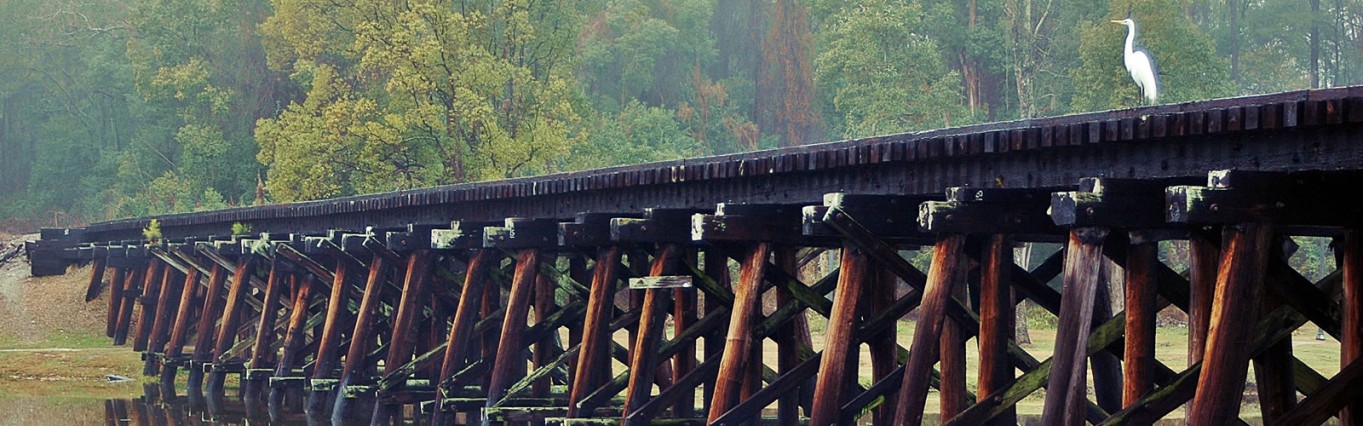 Home | Thomas County Board of Commisioners